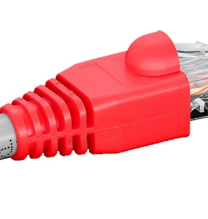 RJ45 보호캡 통부트 랜부트 100개 티몬