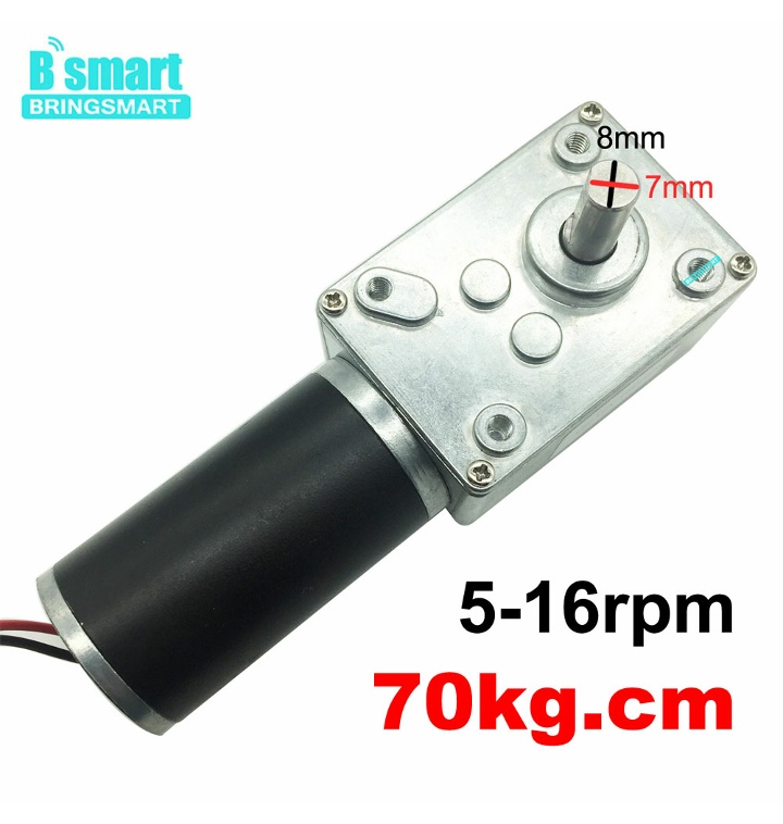 감속 모터 소형 Dc 기어 Bringsmart 24v A58sw31zy 12v 웜 1670kgcm 높은 토크 티몬
